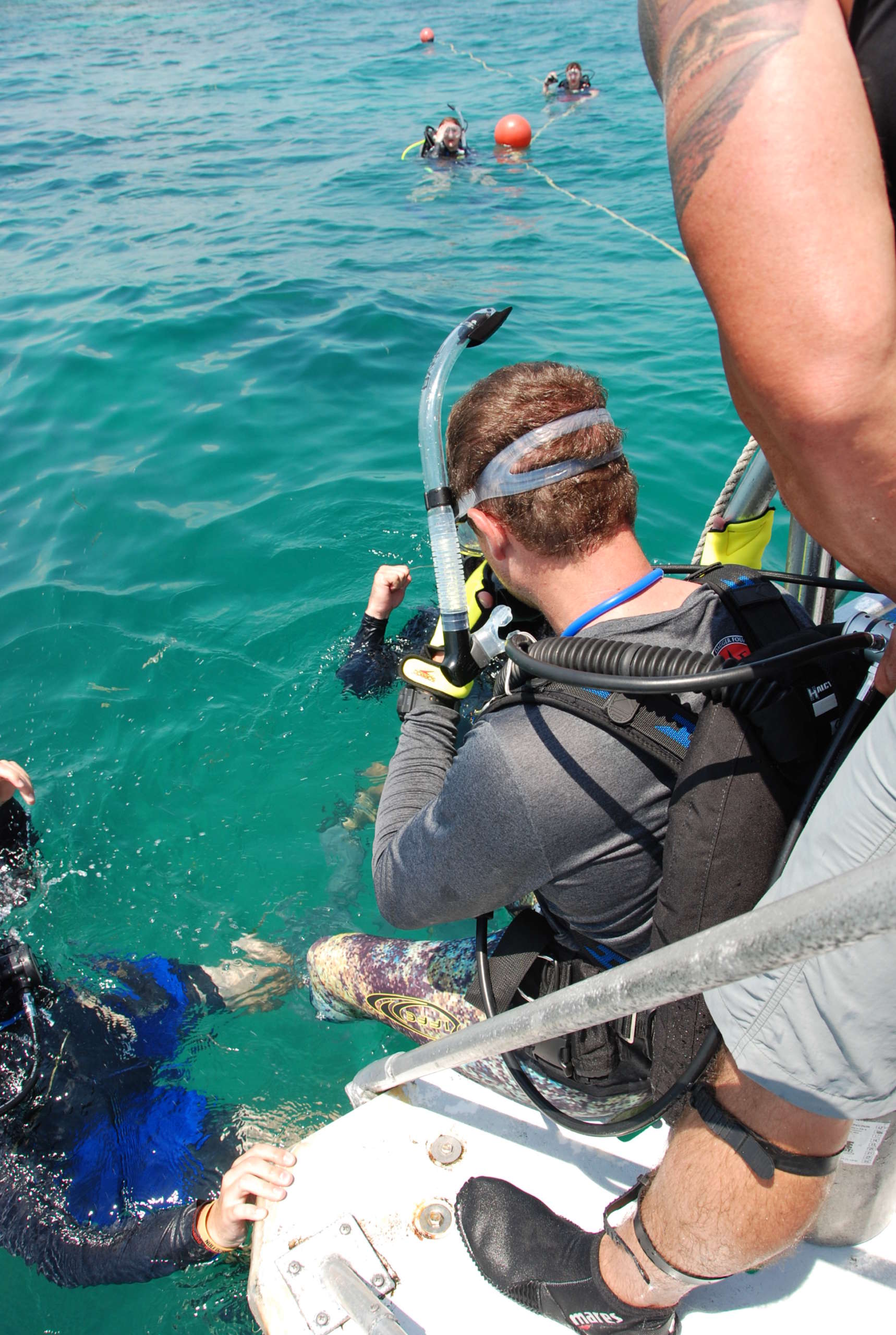 Privacy Policy - Task Force Dagger Special Operations Foundation