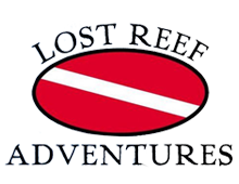 Lost Reef – Task Force Dagger Special Operations Foundation